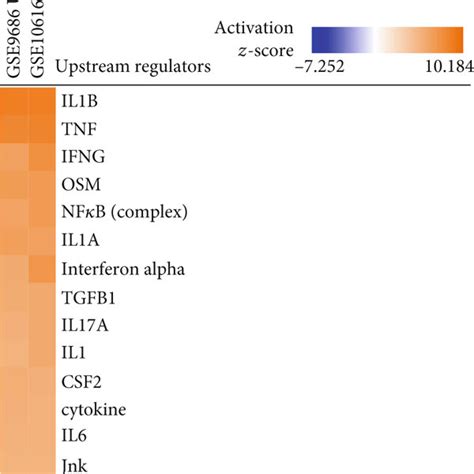 Ingenuity Pathway Analysis Of Expression Profiling Datasets Of Whole Download Scientific