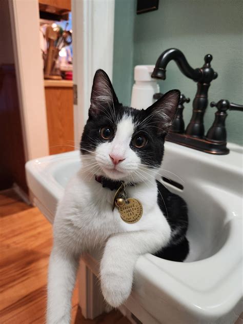 6 Months Old And The Sink Is Too Small R Eyebleach