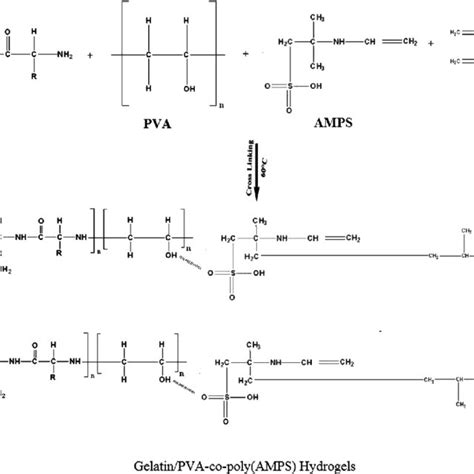 Schematic Diagram Of Gelatin Pva Co Poly Amps Based Hydrogel