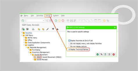 How Do You Display Transaction Code In Sap Hicron
