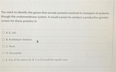 Solved You Want To Identify The Genes That Encode Proteins