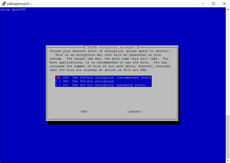 Raspberry Pi Als Vpn Server Techstream
