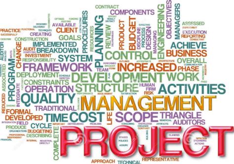 Do Project Management And Pmo Services By Sajikollanoor Fiverr
