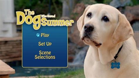 The Dog Who Saved Summer 2015 Dvd Menus