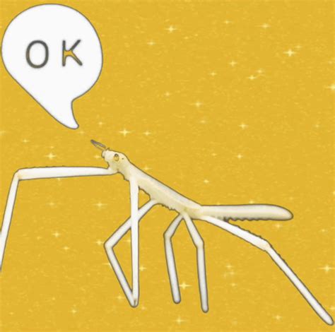 Stickbug GIF Stickbug Discover Share GIFs