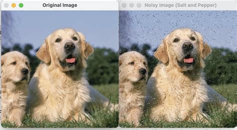 Guide To Adding Noise Images With Python And Opencv Askpython