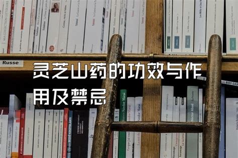 灵芝山药的功效与作用及禁忌 功效与作用 中药健康网