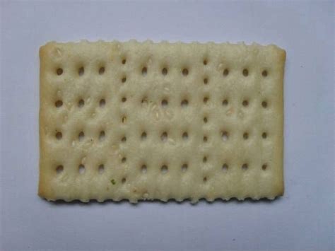 500g Soda Milky Salt Cracker Productschina 500g Soda Milky Salt