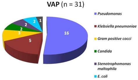 Pathogens Isolated In Icu Patients With Vap Gram Negative Predominated