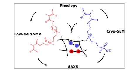 Sulfobetaine Hydrogels With A Complex Multilength Scale Hierarchical Structure The Journal Of