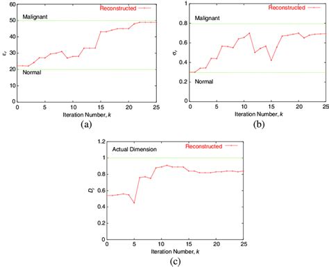 Reconstruction Of The Dielectric Properties And The Dimension Of A Download Scientific Diagram