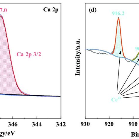 The Experimental Flow Chart Of Catalyst Synthesis And Transesterification Download Scientific