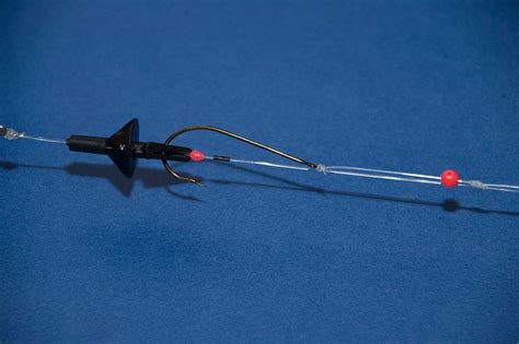 35 Sea Bass Fishing Rigs Pics Bukan Blog Luar Biasa