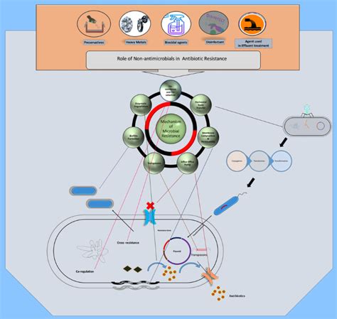 与非抗生素抗菌药物相关的新兴耐药机制：最新综述 The Journal Of Antibiotics X Mol