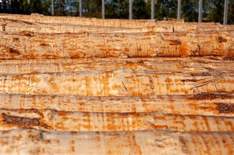 Premium Photo Wood Industry Production Of Wooden Boards