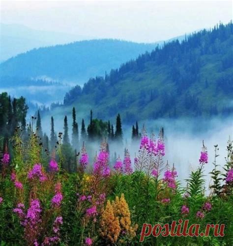 ღ Наедине с природой Постила