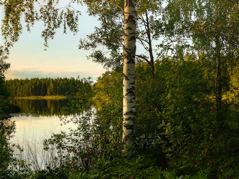 48mm Olle Nilsson Flickr