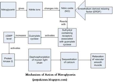 Actions Of Nitroglycerin Kristopherqueens Blog