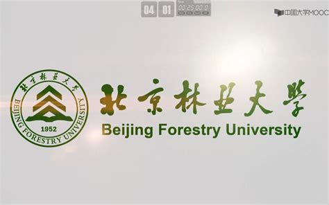 web前端开发 孙俏、张吉、祖明、王建新、田萱、刘士营 北京林业大学 哔哩哔哩 bilibili