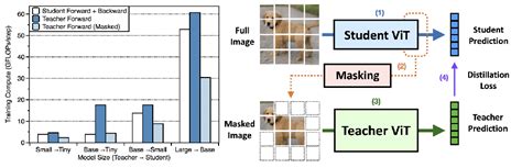 Figure 1 From The Role Of Masking For Efficient Supervised Knowledge Distillation Of Vision