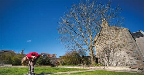 Can You Estimate The Height Of A Tree National Trust For Scotland