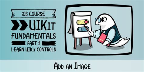 UIKit Fundamentals Episode Add An Image Kodeco