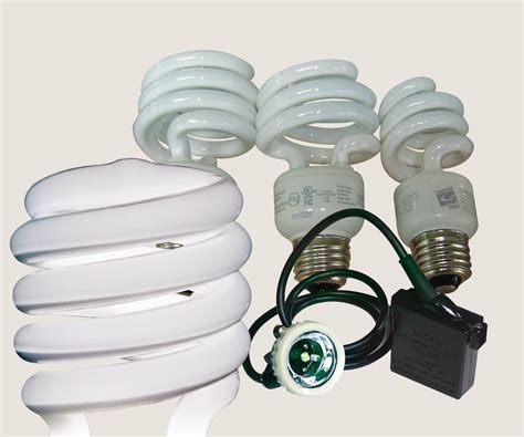 Gny Are Cfls Safe