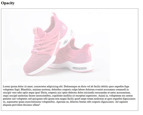 opacity property in css