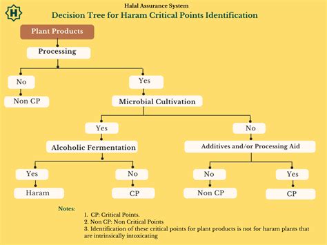 Halal Critical Control Points Hccps A Comprehensive Overview