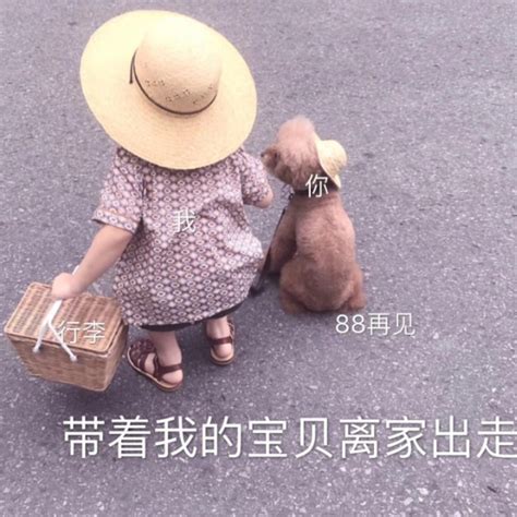 遛娃表情包 遛娃表情图片 伤感说说吧