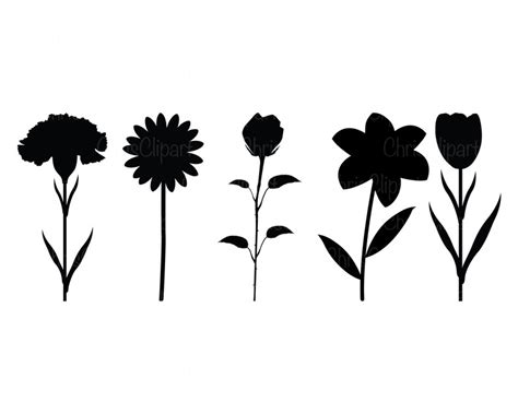 Flower Silhouette Png