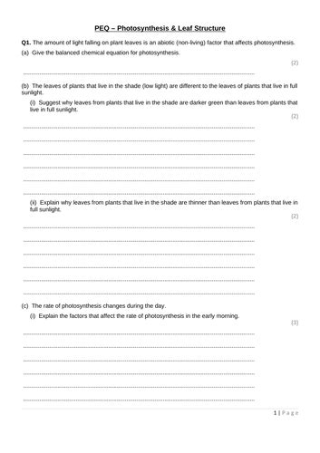 L1 2 40 2 42b Structure Of A Leaf Igcse Biology 9 1 Edexcel