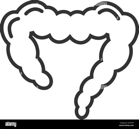 Intestine Icon Bowel Symbol Gut Sign Colon In Line Style Isolated On