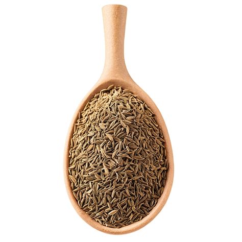 Download Ai Generated Cumin Spices Royalty Free Stock Illustration