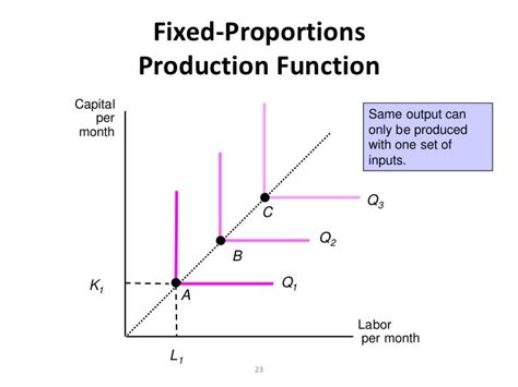 lecture 8 production optimal inputs 1