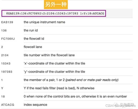 Ngs数据分析实践：03 涉及的常用数据格式 1 Fasta和fastq格式fastq数据分析 Csdn博客