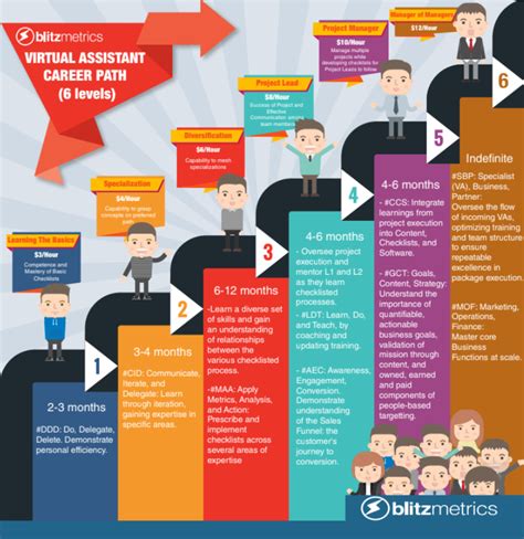 Virtual Assistant Career Path 6 Levels Blitzmetrics