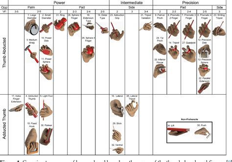 Figure 1 From Bioinspiration And Biomimetic Art In Robotic Grippers Semantic Scholar