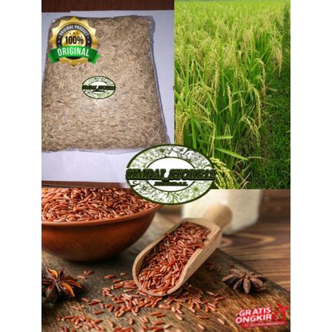 Jual Jual Benih Padi Beras Merah Gram Asli Ladang Lokal Shopee Indonesia