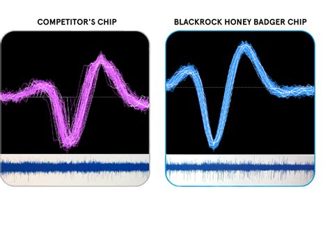 Neuroplex E Headstages Products Blackrock Neurotech