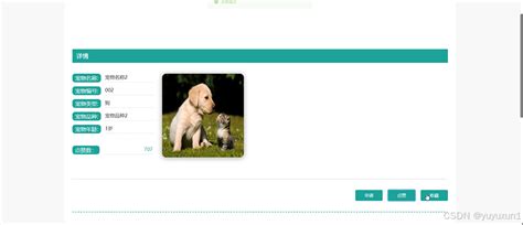 基于springboot的宠物领养系统的设计与实现 毕业设计 附源码06057 Csdn博客