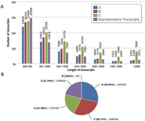 Transcript Assembly Statistics A Length Of The Assembled Transcripts