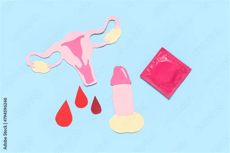 Paper Male And Female Organs With Condom On Blue Background Sex
