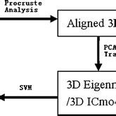 The Framework Of The Proposed Gender Classification Method Download Scientific Diagram