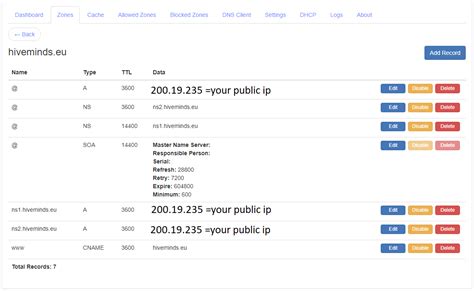 Ip Using The Public Hostname In A Personal Public Dns Server Super User