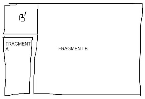 Android Non Rectangular Fragments Intertwined Layouts Stack Overflow