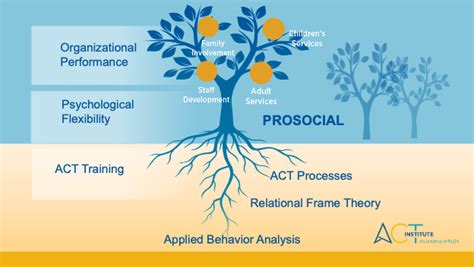 Act And Rft As Prosocial Obm In An Aba School Based Partial Hospital Program Behavior Analysis