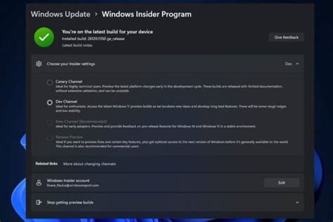 The Latest Confusion With Windows Dev And Canary Channels Is Another Proof Microsoft Is Not