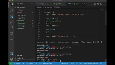Pointers In Golang Hindi Go Lang Basic Series Part 11 Youtube