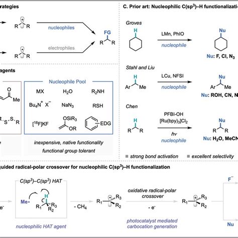 Scope Of General Nucleophilic C Sp H Functionalization Mmol Download Scientific